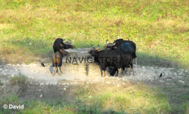 Dooars Tourism | Dooars tourist spots MAP Temperature - Navigator